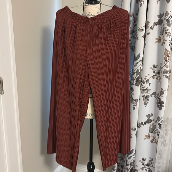 Ann Taylor Factory | Pants & Jumpsuits | Deep Rust Relaxed Wide Leg ...